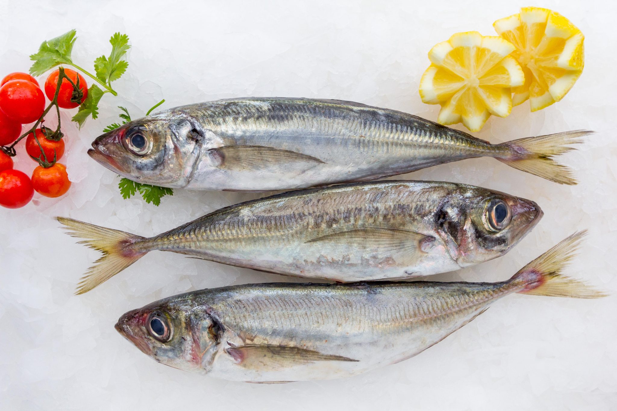 Carapau - Casa do Peixe